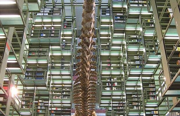 Amazing World: Incredible Libraries around the World