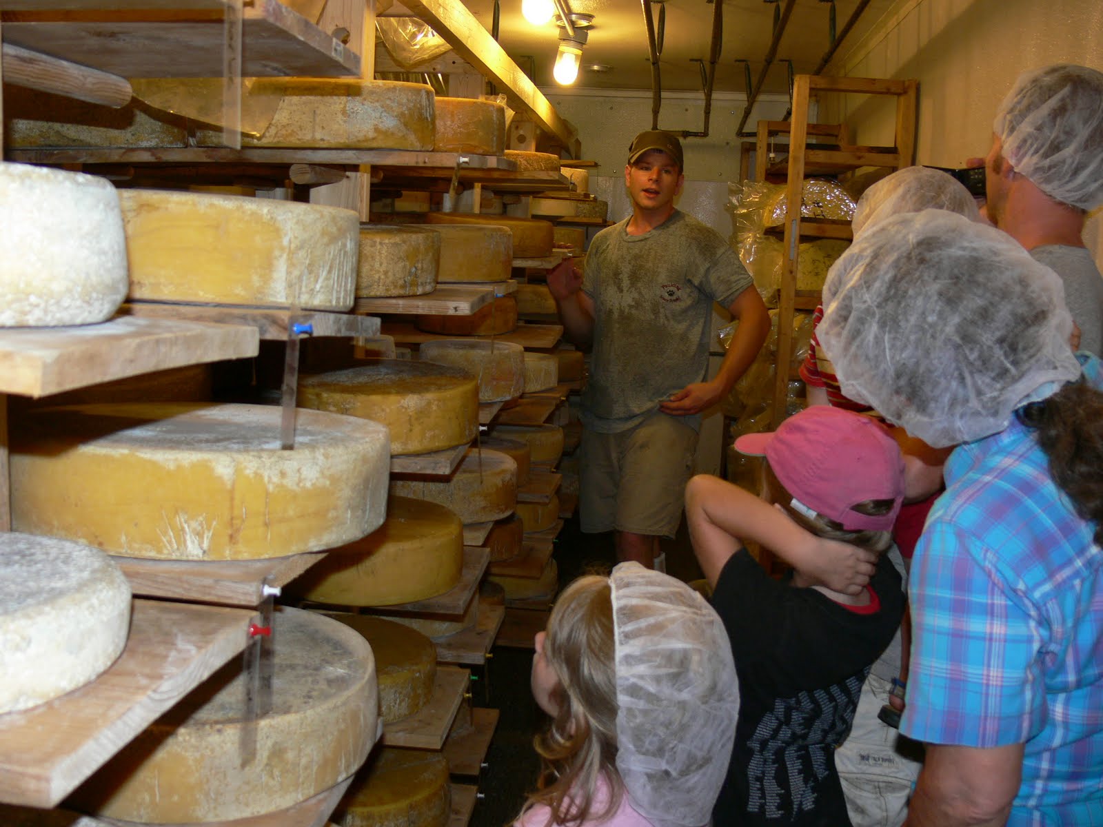 21st Century Odyssey: Cheese making tour.