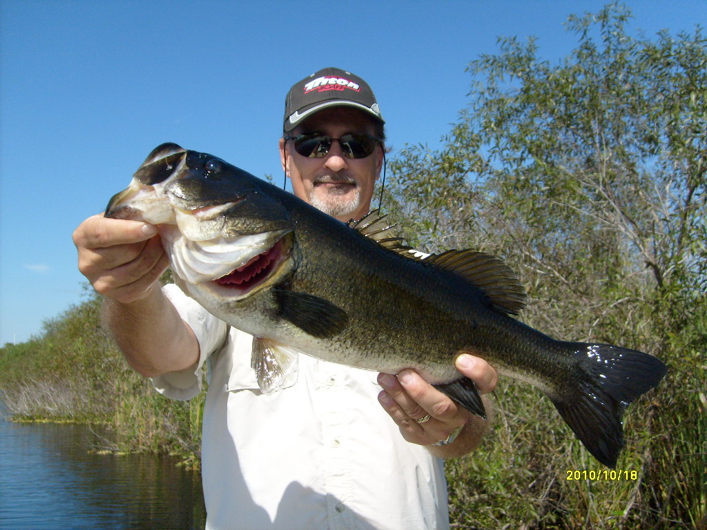 South Florida Peacock Bass Guide Service: Florida Everglades Bass