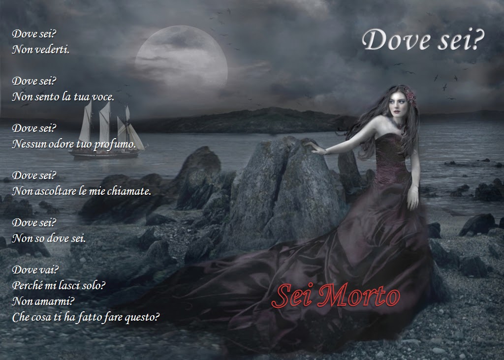 Colección Literagráfica...! - Tinta Nocturna