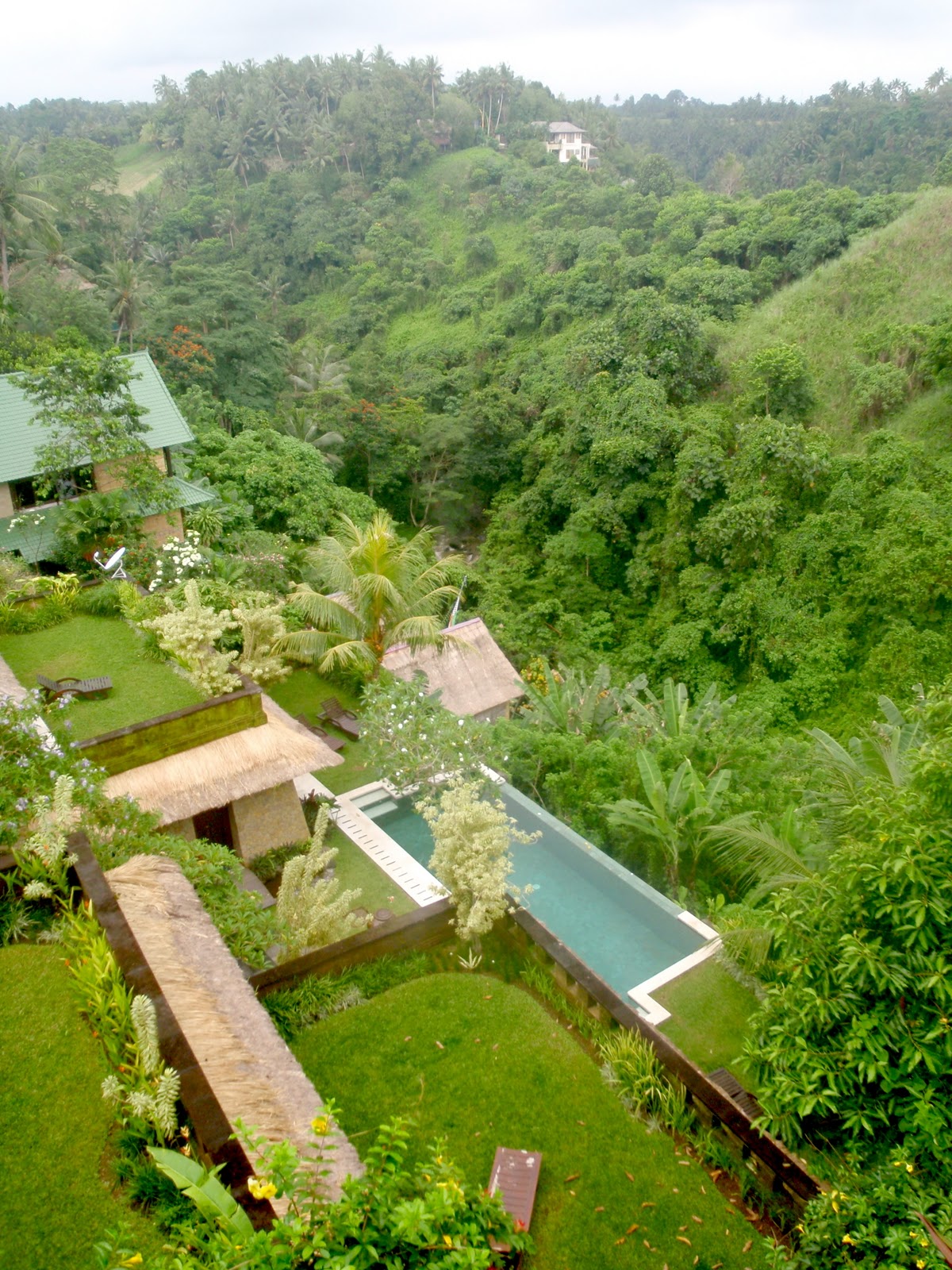 Ubud. Writing, Reading, and yummy spare ribs