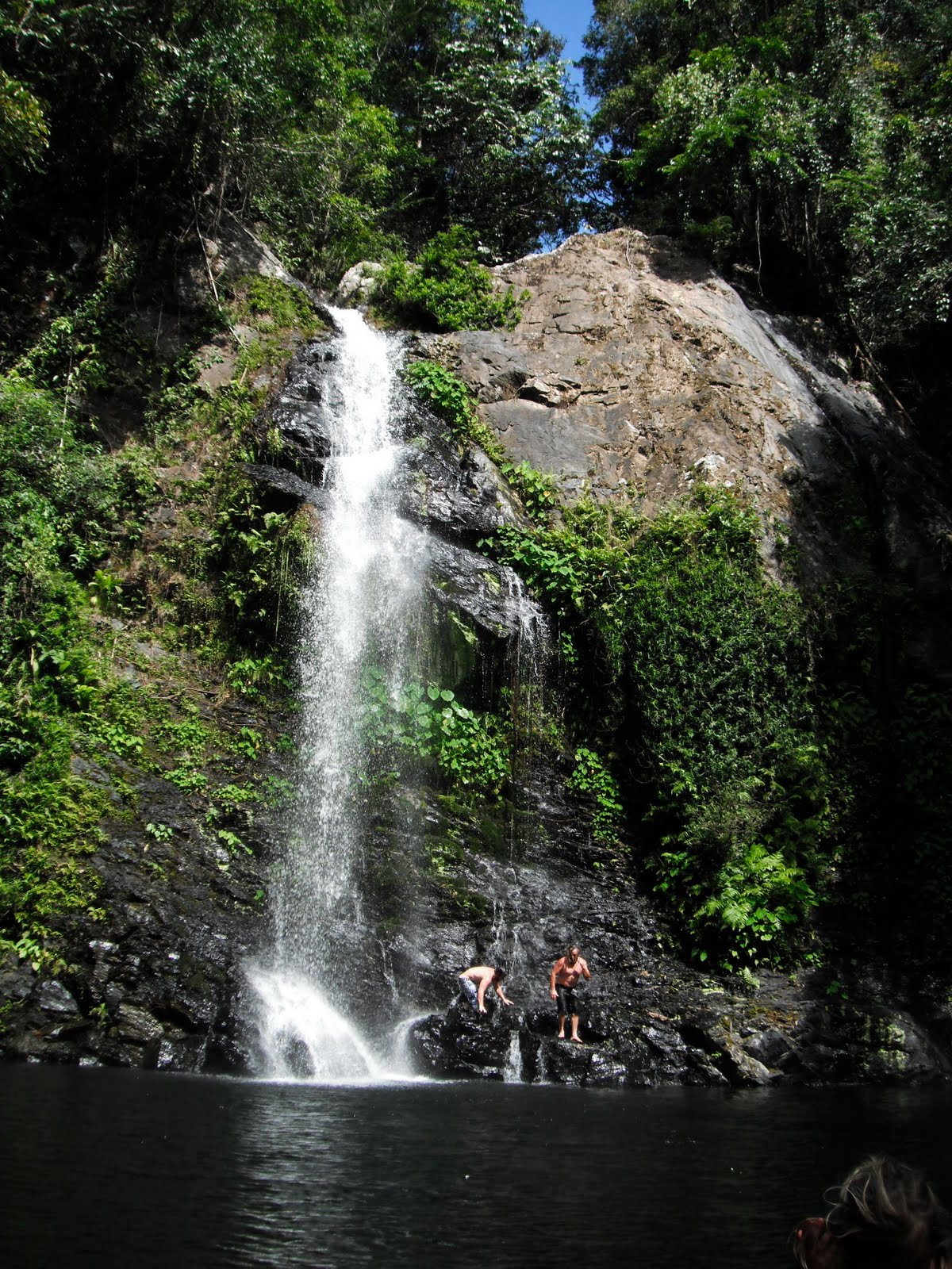 Alternative Suburbia: Cassowary Falls