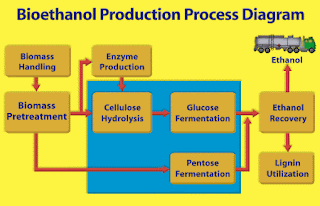 Bioethanol: Bioethanol VS Biodiesel
