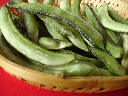 My Indian Recipes: Chikkudukaya - Tomato Iguru (Indian broad beans curry)