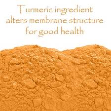 Future Light Agro: How to Grow Turmeric Plant- With Health tips