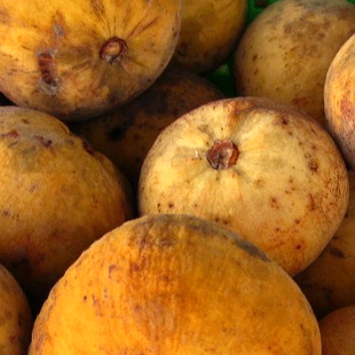 Popular Manila: Why you should not Swallow Santol Seeds in the Philippines