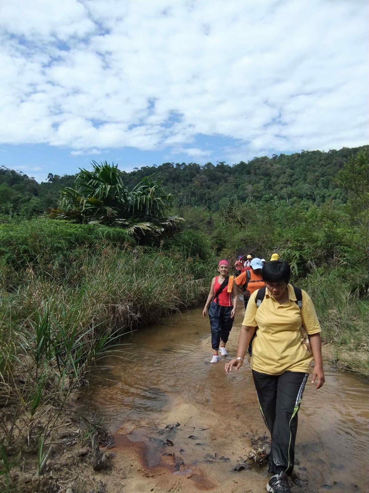 Dr. Mac's Blog: Sg. Tengkil Waterfalls Hike, Saturday 13 Nov. 2010