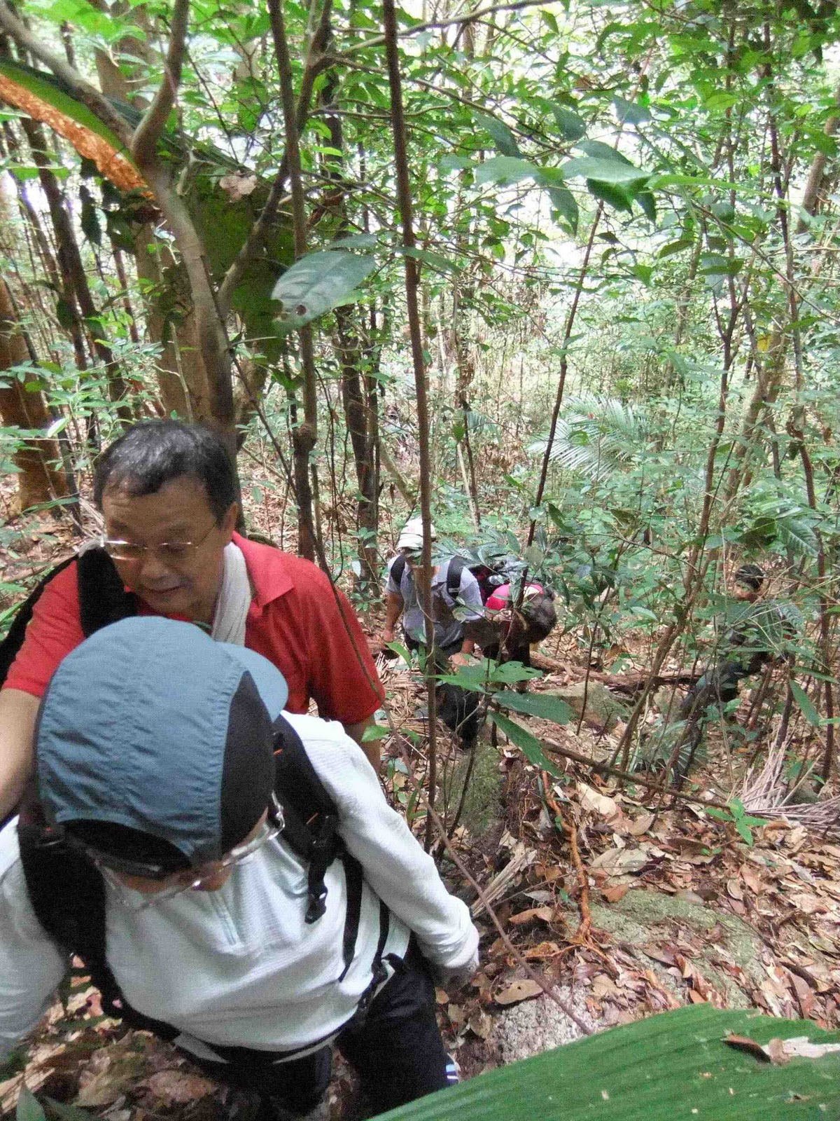 Dr. Mac's Blog: Sg. Tengkil Waterfalls Hike, Saturday 13 Nov. 2010