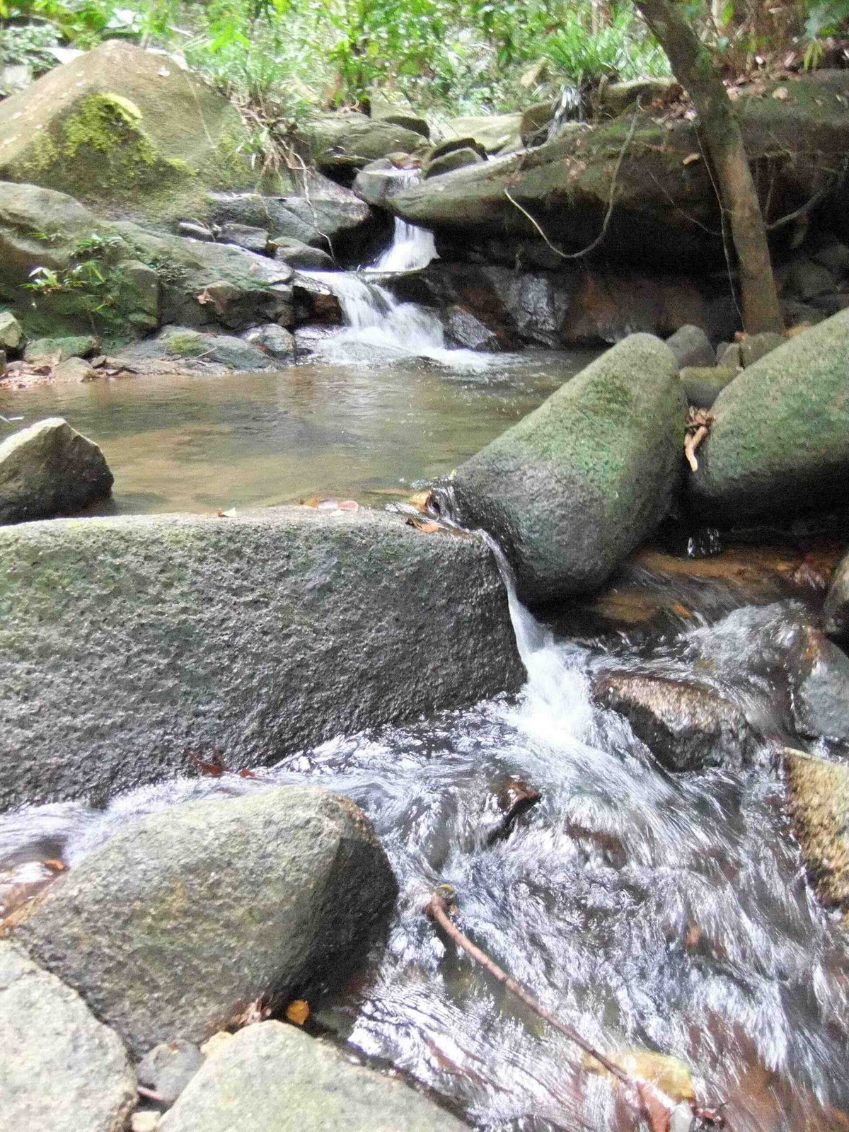 Dr. Mac's Blog: Sg. Tengkil Waterfalls Hike, Saturday 13 Nov. 2010