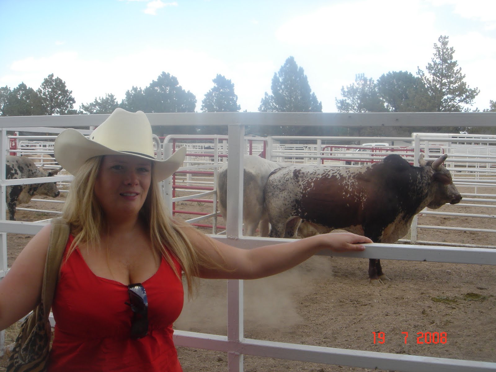 mycolmarc: Hemingway,Bullfighting and Cheyenne Frontier Days