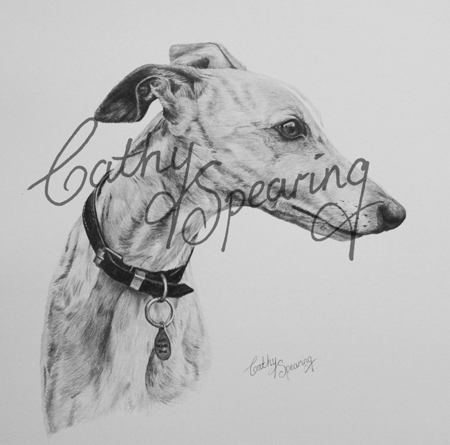 Cathy Spearing - Equestrian and animal artist.: Whippet drawing ...