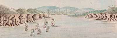 Spotty and green: The First Fleet