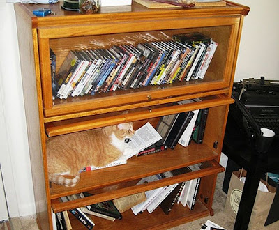 Fresh Pics: How to Organize Your Cats