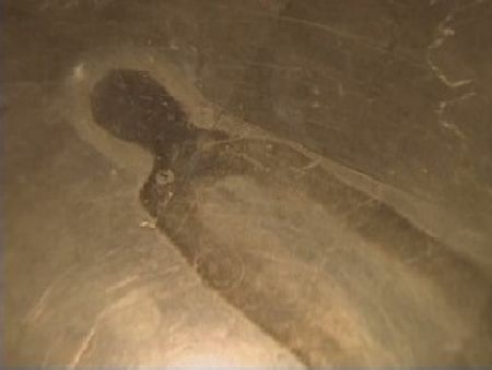 Fresh Pics: Every Jesus Sighting Ever