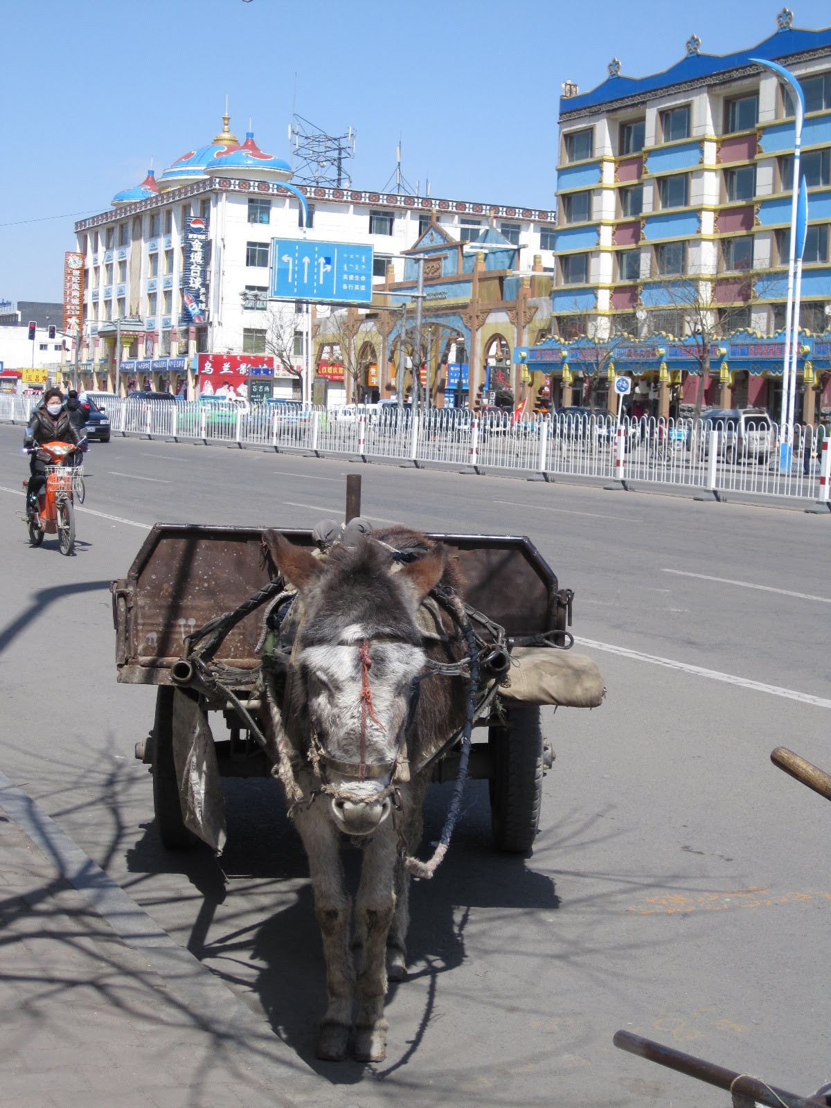 SHE in China: 呼和浩特 -Huhehaote/Hohhot, 内蒙古 -Nei Menggu/Inner Mongolia