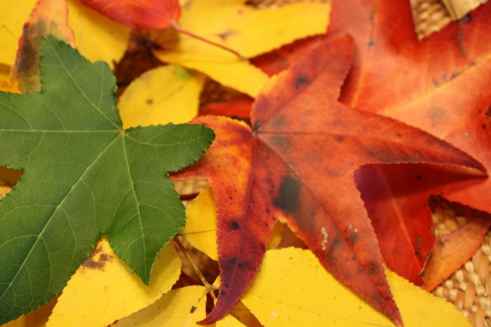 Color Changes Everything