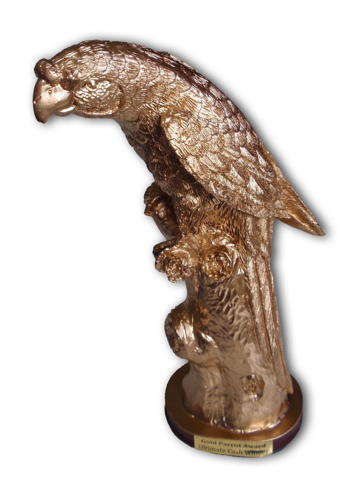 PoolPit08: June 2010