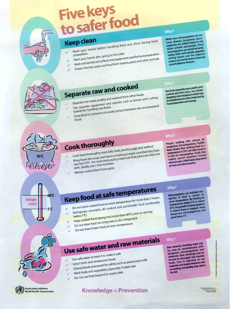 Food Safety and Hygiene: The five keys to safer food : Knowledge ...