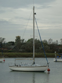 Bill's Log: Trident 24