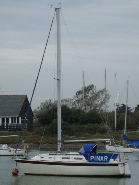 Bill's Log: Westerly Griffon