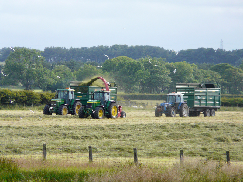 Making Silage - High Chibburn Farm near Widdrington Village, Morpeth ...