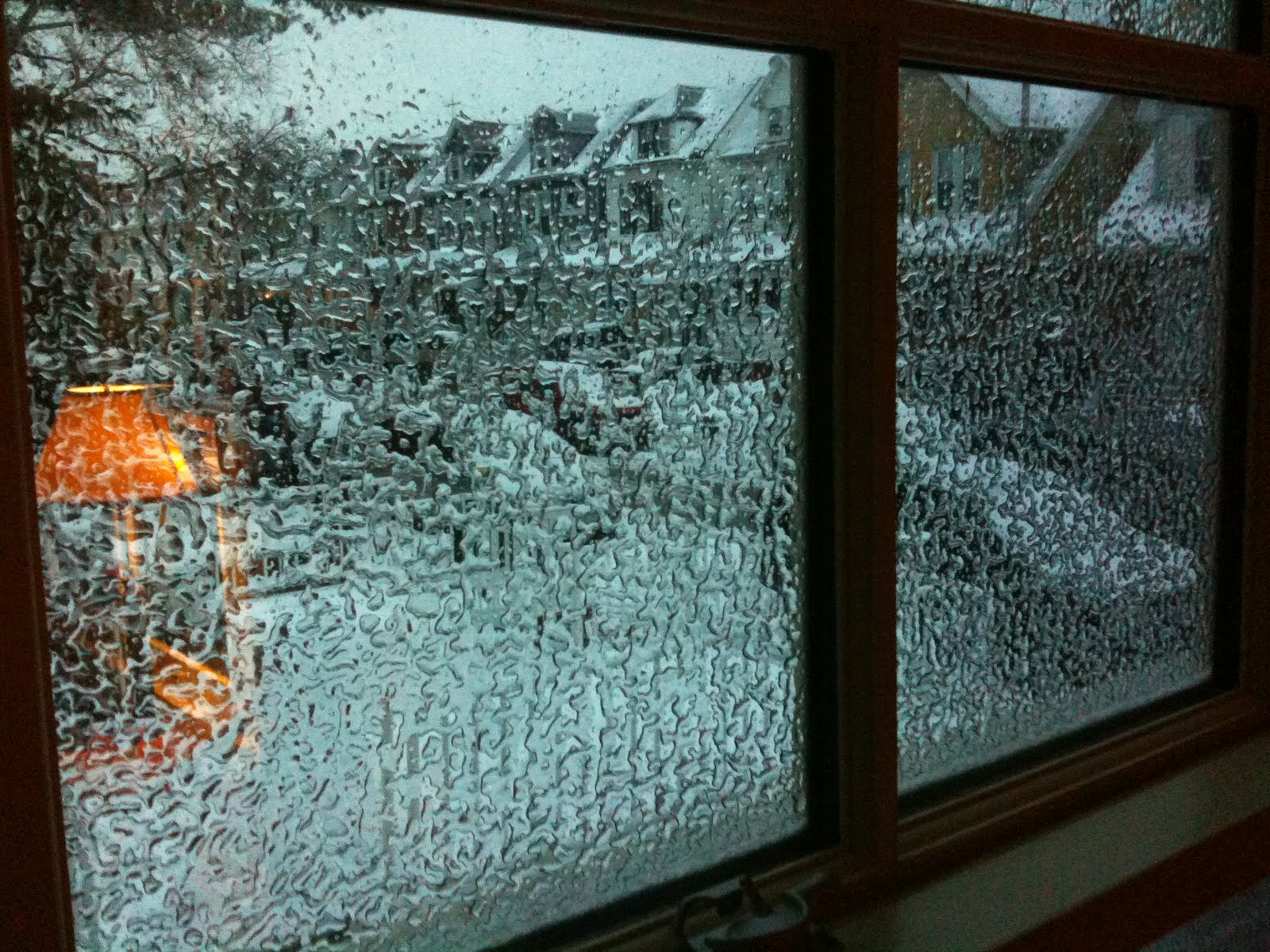 slivken365: January 18, 2011 - Bubble Glass Windows