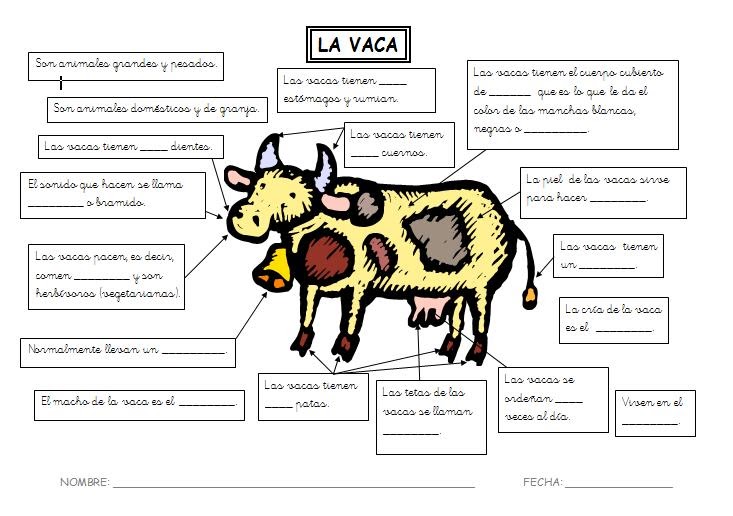 Blog de Esther Meseguer: Cuento La Lechera y el Carnaval