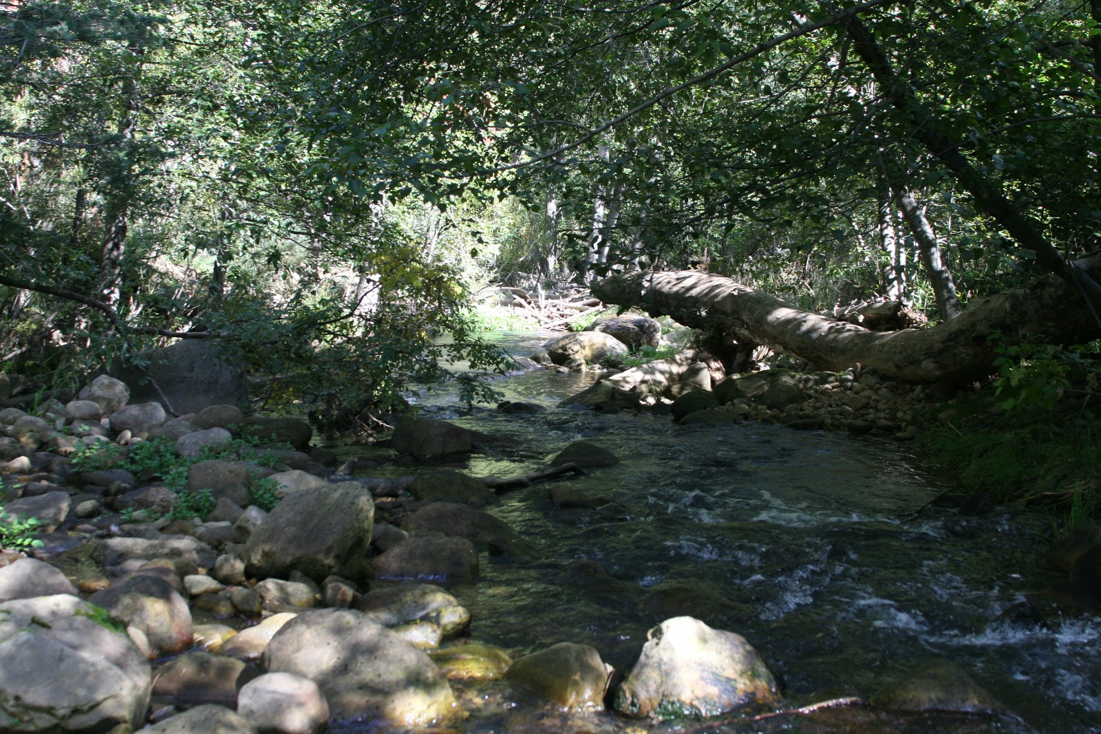 Darren's Rides: Trip To Young AZ.