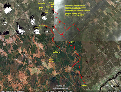 Richard's GPS Trail Maps: Marlborough Forest Roads