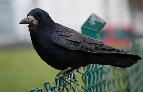 tabăra Frontiere: Legături...