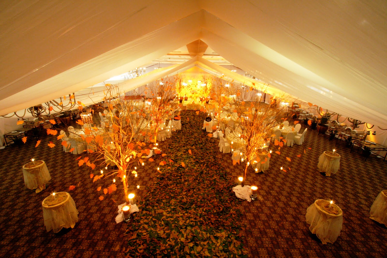 Lush Blooms: Autumn Theme