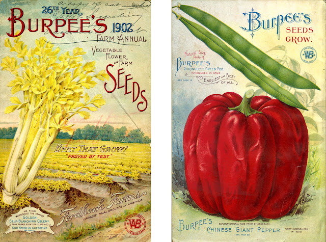 Smithsonian Collections Blog: Starting From Seed, Mail Order Garden ...