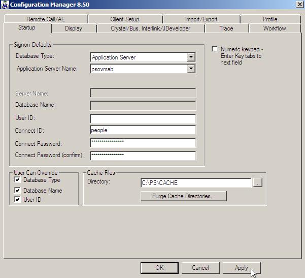 On The Peoplesoft Road: Peoplesoft database connectivity part 1/3 ...