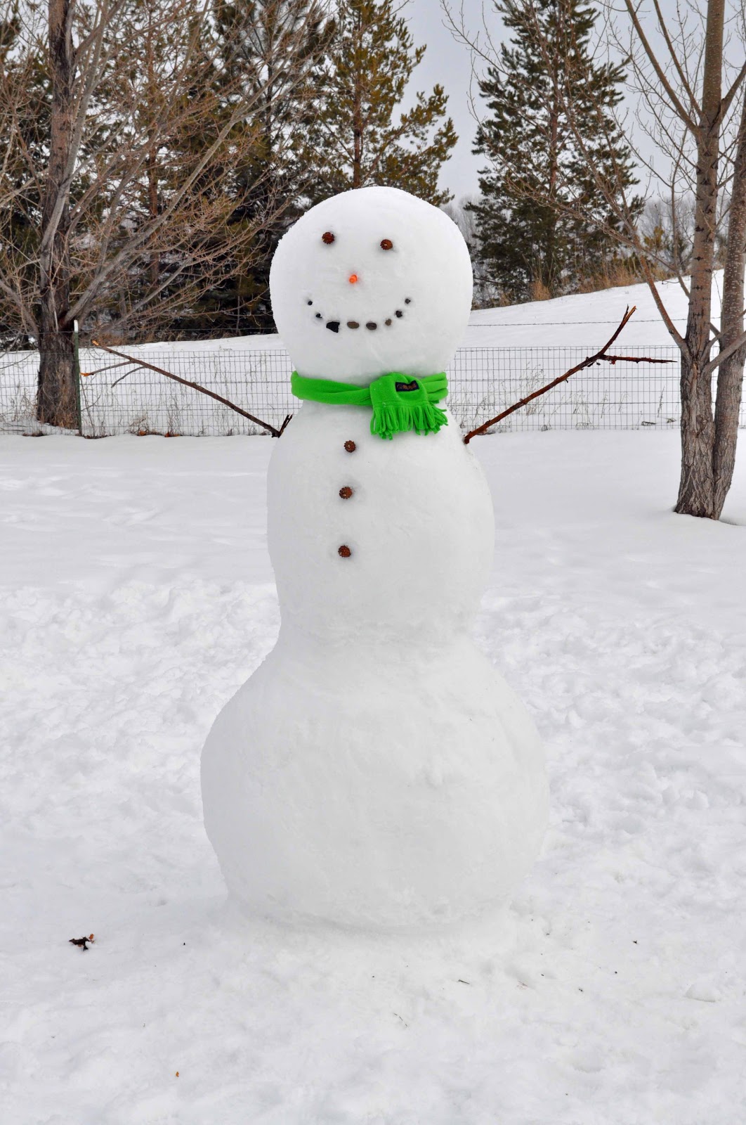 Children's Learning Activities: Surviving Winter: Once There Was a Snowman
