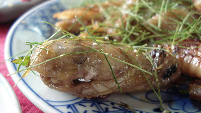 ScratchyToes: Vietnamese Snake Meat Extravaganza