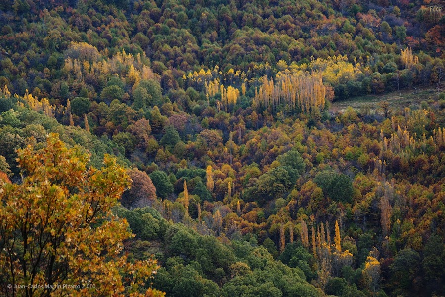 Fotos de cualquier parte: Otoño en Béjar y alrededores (y VI)