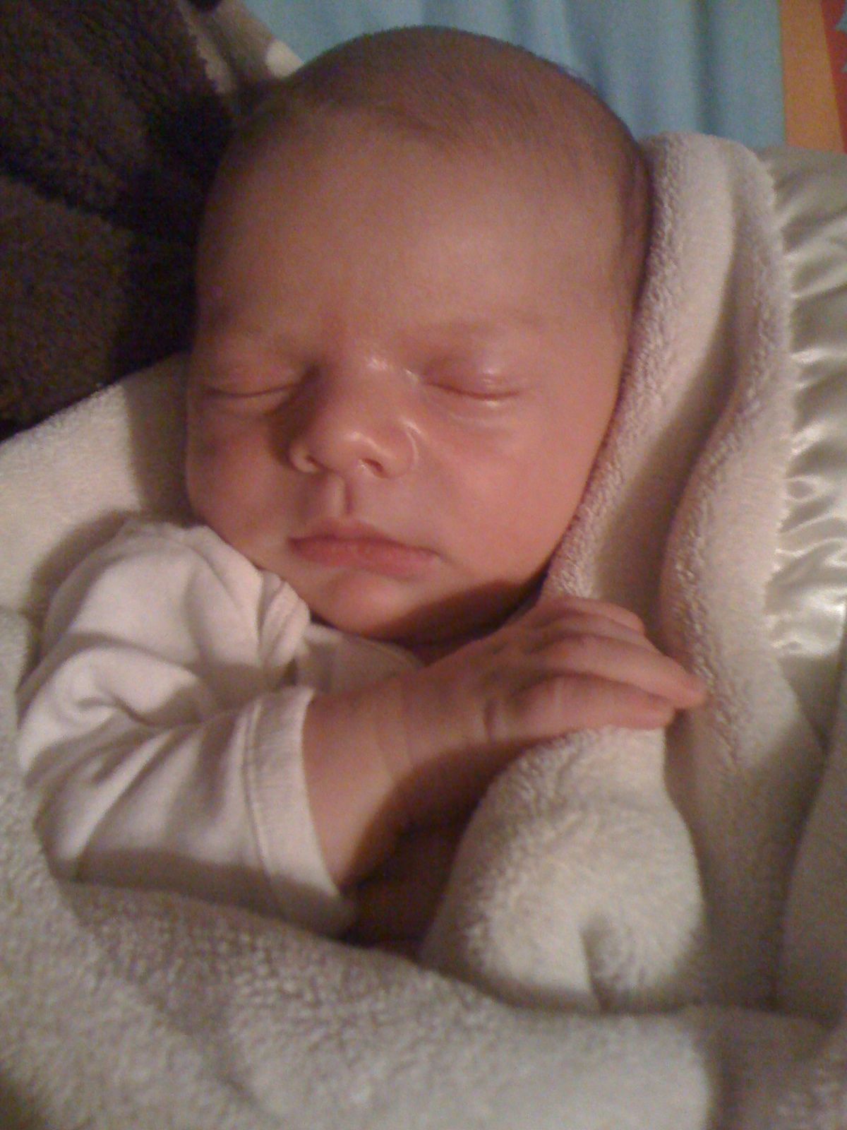 Lu Bird Baby: One Year Old!!