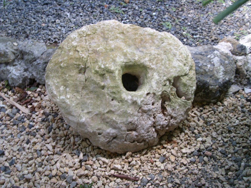 Airai Water Paradise Hotel & Spa: The Stone Money of Yap