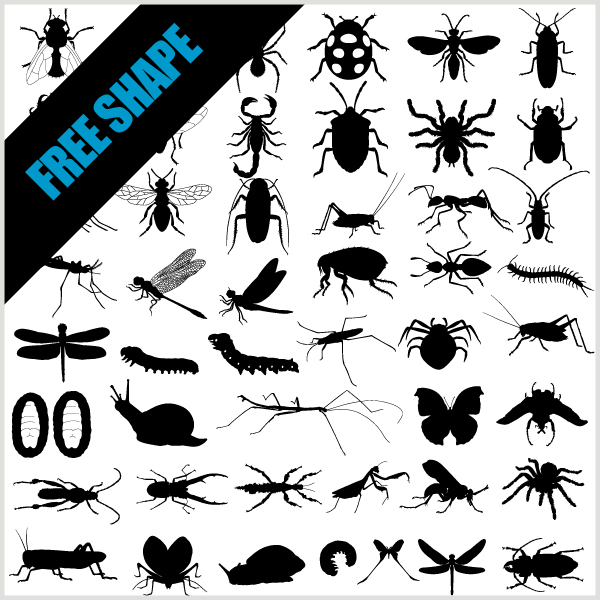 Wallpaper Desktop Windows7: 61 Serangga/Insects Shape Photoshop Gratis