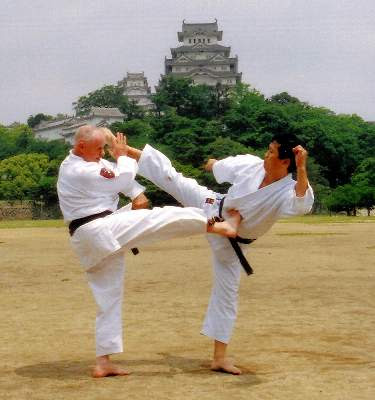 ultimate fighting: Goju Kai Karate