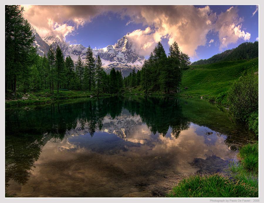 wallpaper 7: Beautiful Animals Wallpapers