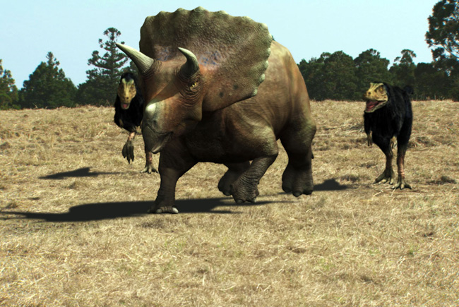 Origenes de la Vida: El Origen de los animales