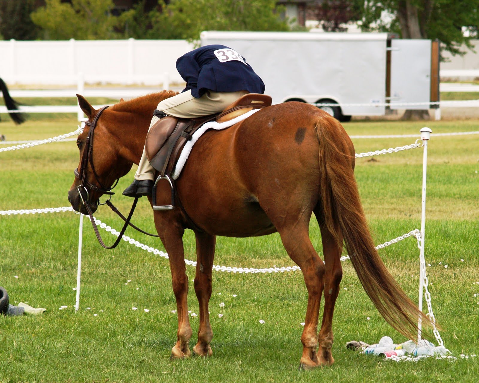 Enjoy the Ride: Pony Girl