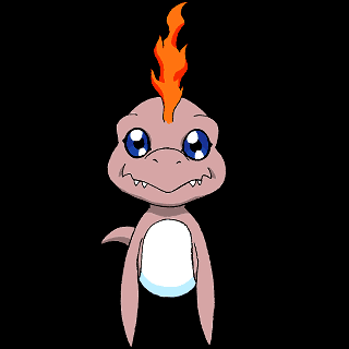 Digimon Nova Geração 8: Gomamon (Foto)
