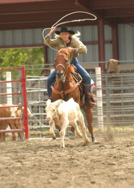 photorodeo