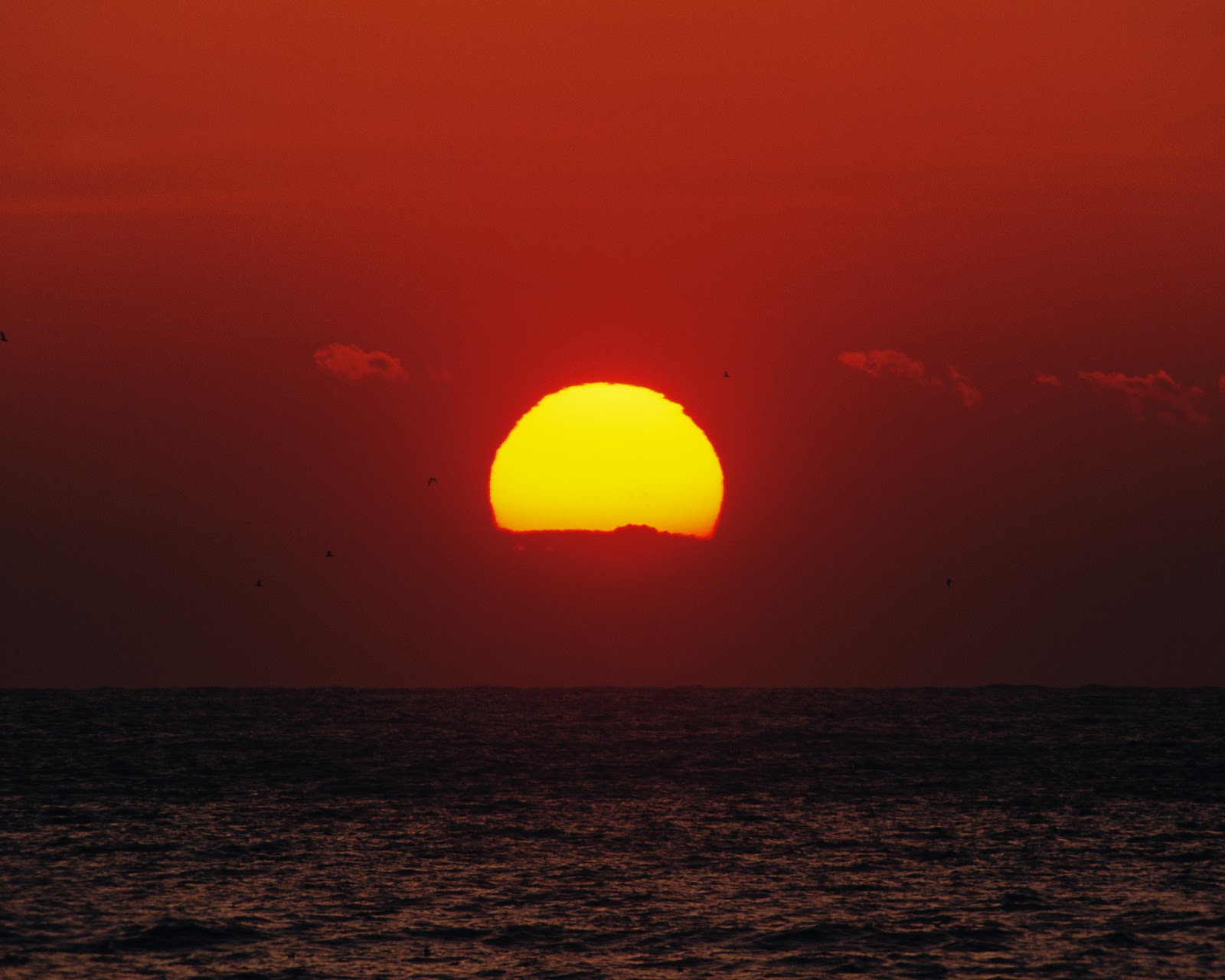 Photofusionvirtual: WALLPAPERS SOL