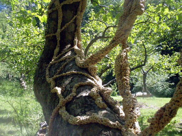 Barbara De Pirro 'biomimicry': 'roots & vines: plastica' - CoCA Seattle