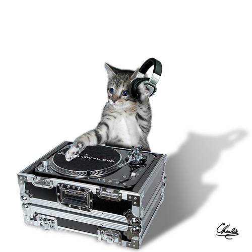 Gato DJ - Imagui