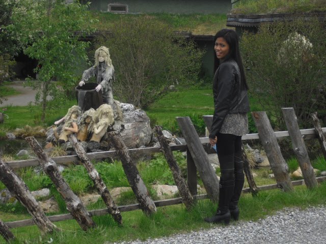 My Life Experiences: Senja trollet