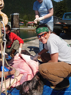 Little Andy's Adventures: Sleeper Shark Necropsy
